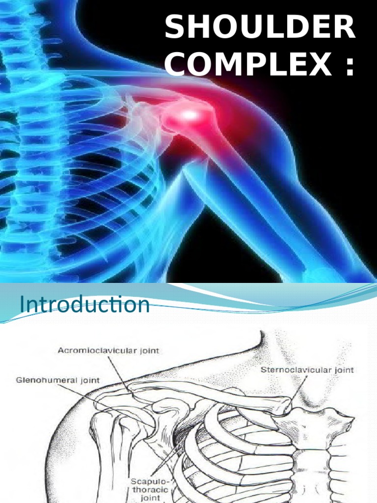 Understanding the Shoulder Complex Anatomy | PDF | Anatomical Terms Of ...