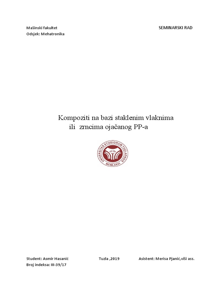 Seminarski Rad Ispravka | PDF