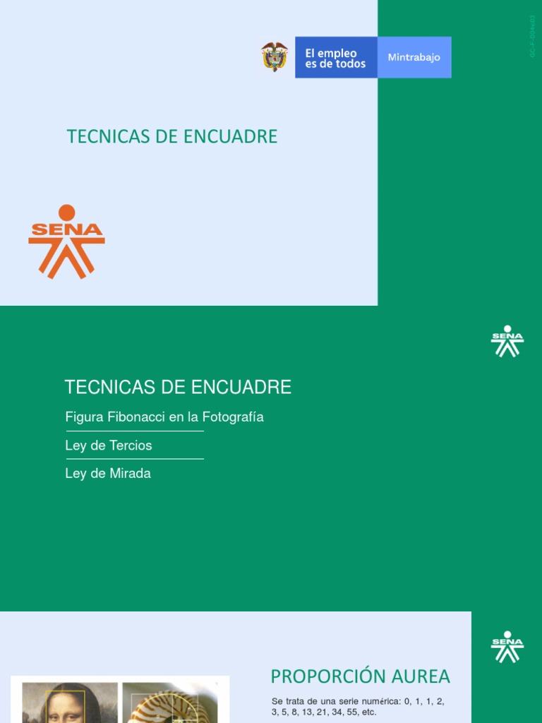 Técnicas de composición fotográfica: La regla de los tercios, la proporción áurea y la ley de ...