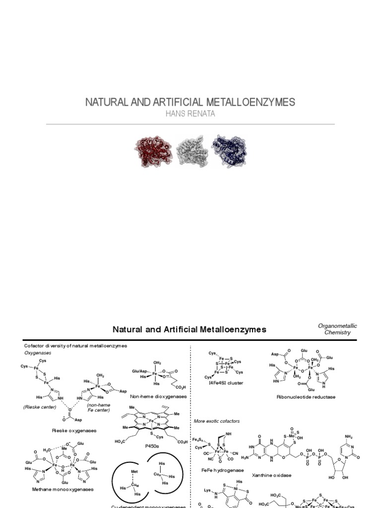 Natural and Artificial Metalloenzymes: Hans Renata | PDF | Biomolecules ...