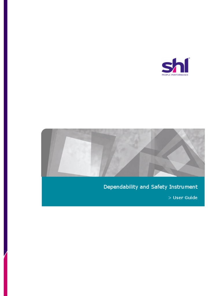 DSI User Guide | PDF | Reliability Engineering | Behavioural Sciences
