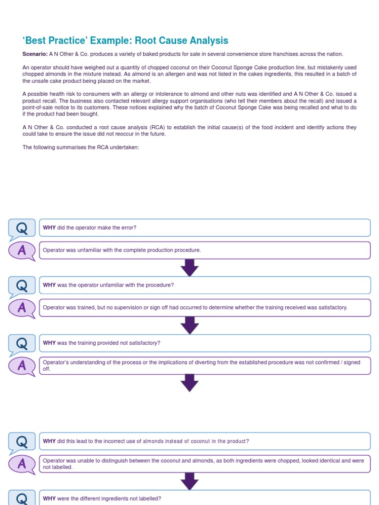 Rca Best Practice Example Final PDF | PDF | Cakes | Business