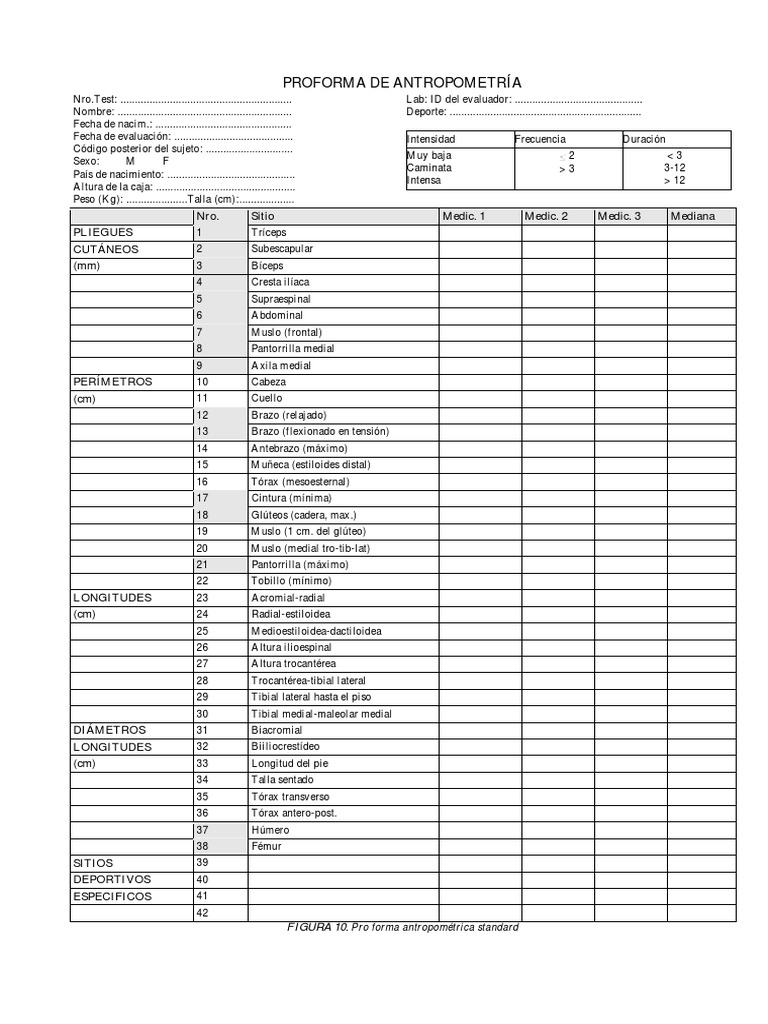 Hoja de Mediciones Antropometricas | PDF | Sistema musculoesquelético | Extremidades (anatomía)