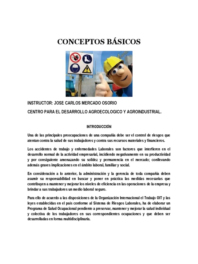 Conceptos Basicos SST | PDF | Seguridad y salud ocupacional | Labor