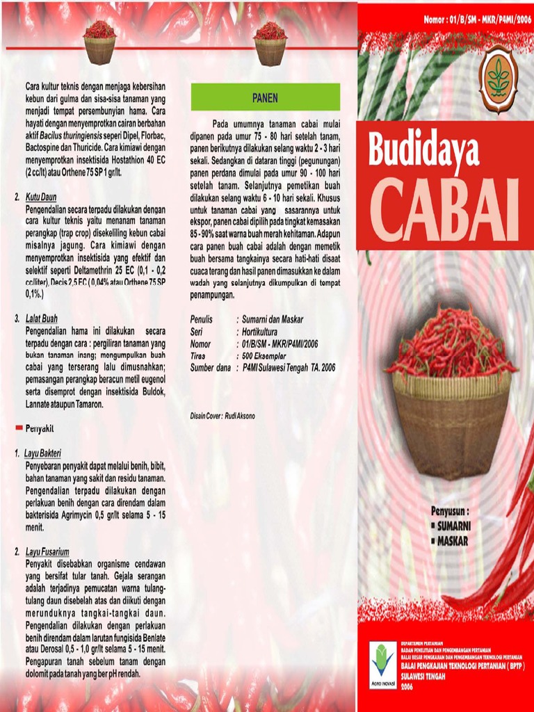 06 Budidaya Cabai PDF | PDF