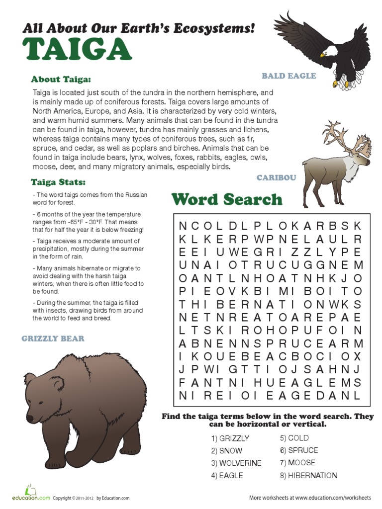 Taiga Ecosystem | Download Free PDF | Organisms | Conservation