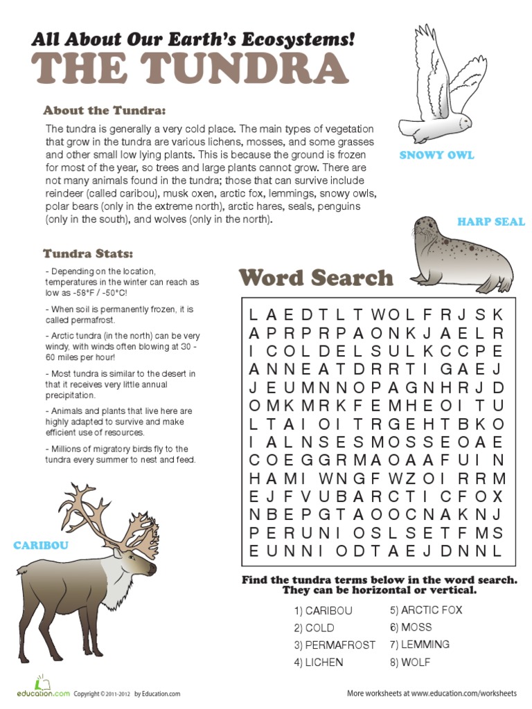 Tundra Ecosystem | PDF | Organisms | Earth Sciences