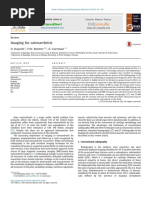 Rosenberg View | PDF | Radiology | X Ray