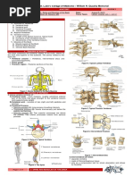 Emra Sportsmedicine Splint Guide PDF | PDF | Thumb | Hand