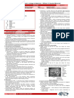MRI Face Planning Protocols | PDF | Magnetic Resonance Imaging | Radiology