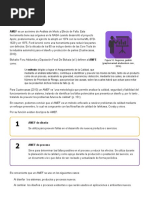 Metodologia Amef | PDF