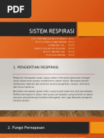 Frekuensi Napas & Nadi Normal | PDF