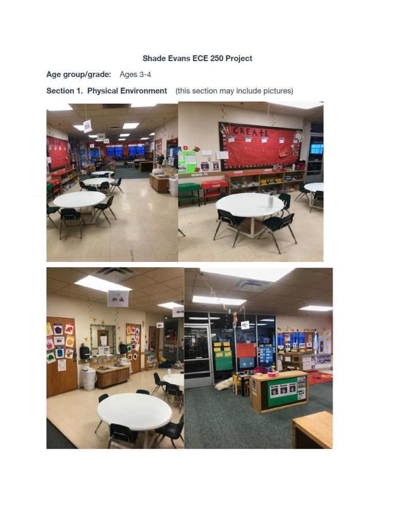Ece 250 Project | PDF | Classroom | Teachers