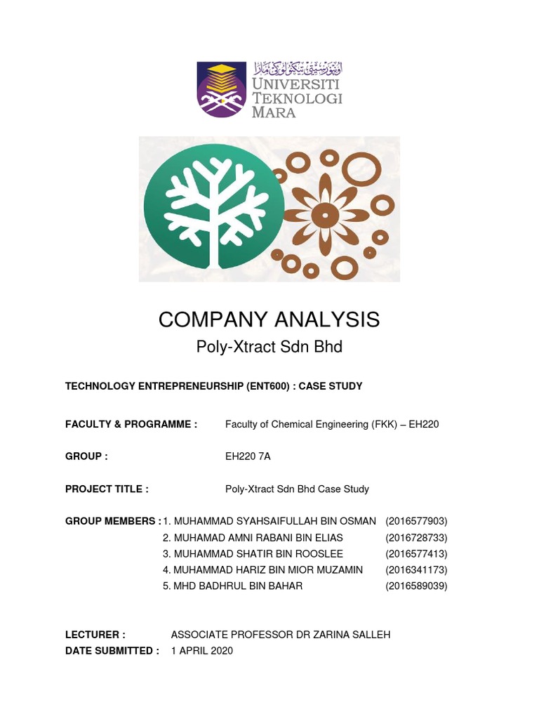ENT600 Case Study Report (BTS-HB) PDF | PDF | Marketing Strategy | Swot Analysis
