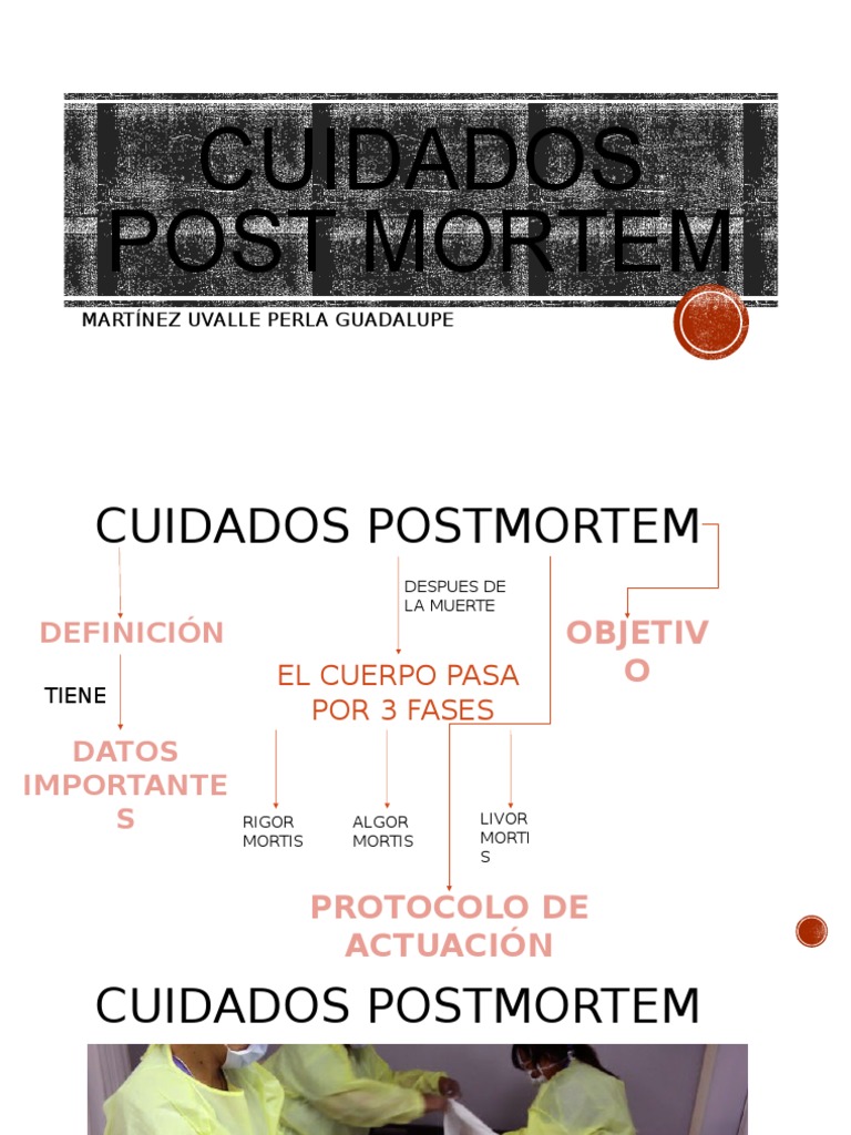 Cuidados Post Mortem | PDF