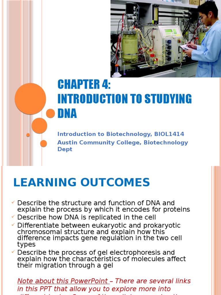 Introduction To Studying DNA: Introduction To Biotechnology, BIOL1414 ...