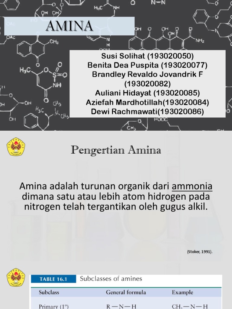 Definisi dan Tatanama Amina | PDF