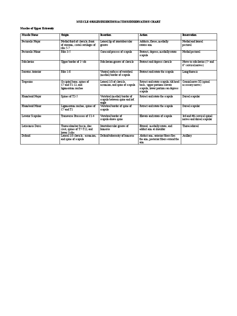 Muscle Origin/Insertion/Action/Innervation Chart Muscles of Upper ...