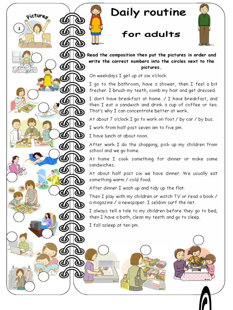 Daily Routine PDF | PDF | Lunch | Dinner