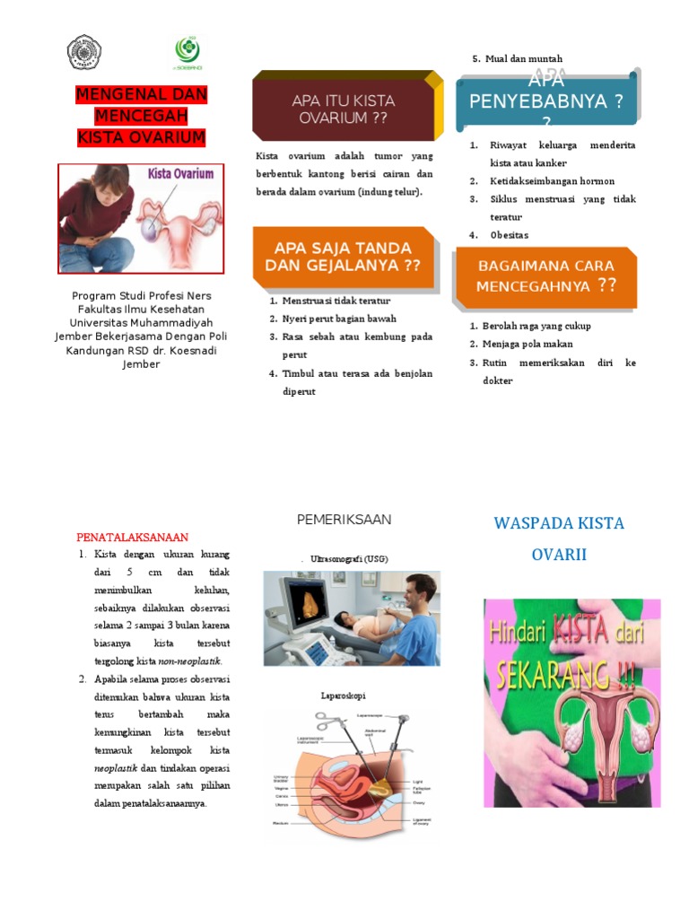 3 Leaflet Kista Ovarium | PDF