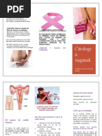 Cáncer Cervicouterino (Triptico) | PDF | Cáncer de cuello uterino | Causas de la muerte