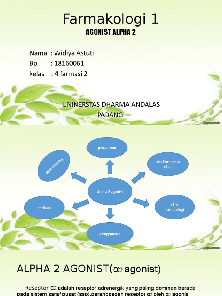 Farmakologi Alpha 2 Agonist | PDF