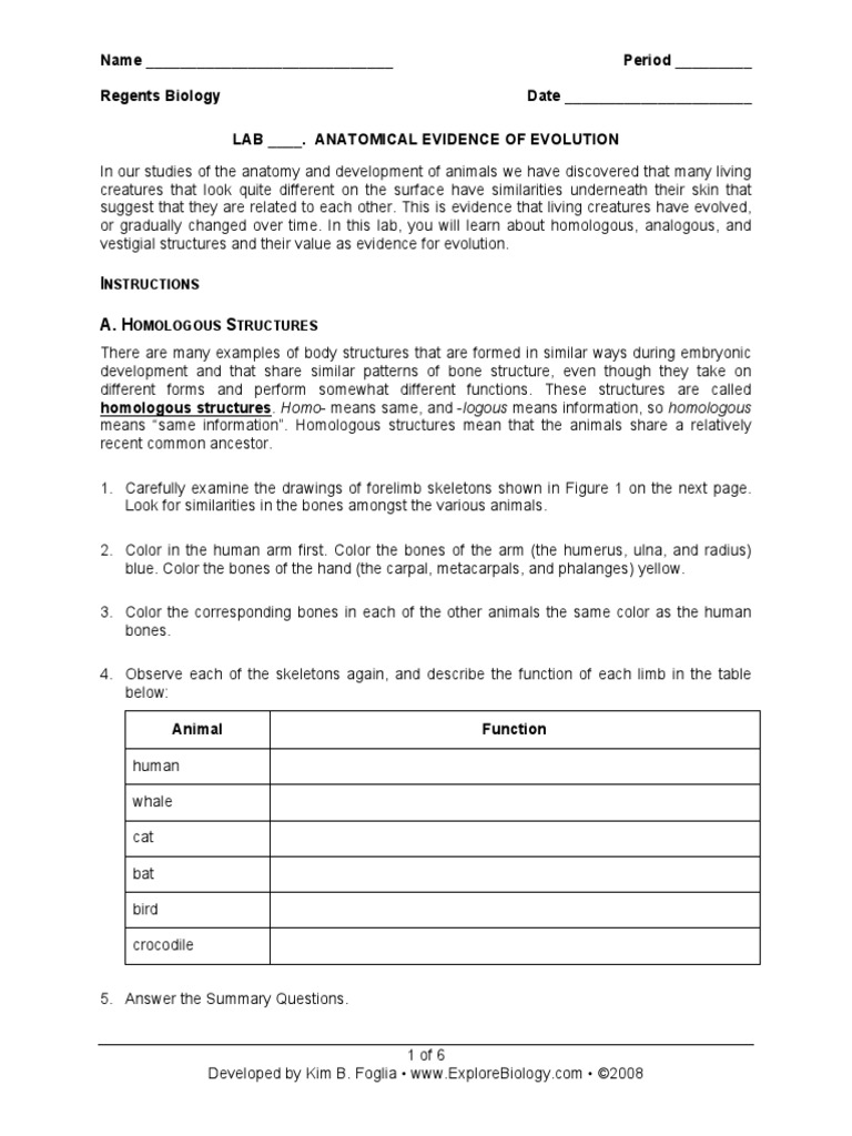 Anatomical Evidence Evolution | PDF | Homology (Biology) | Evolutionary ...