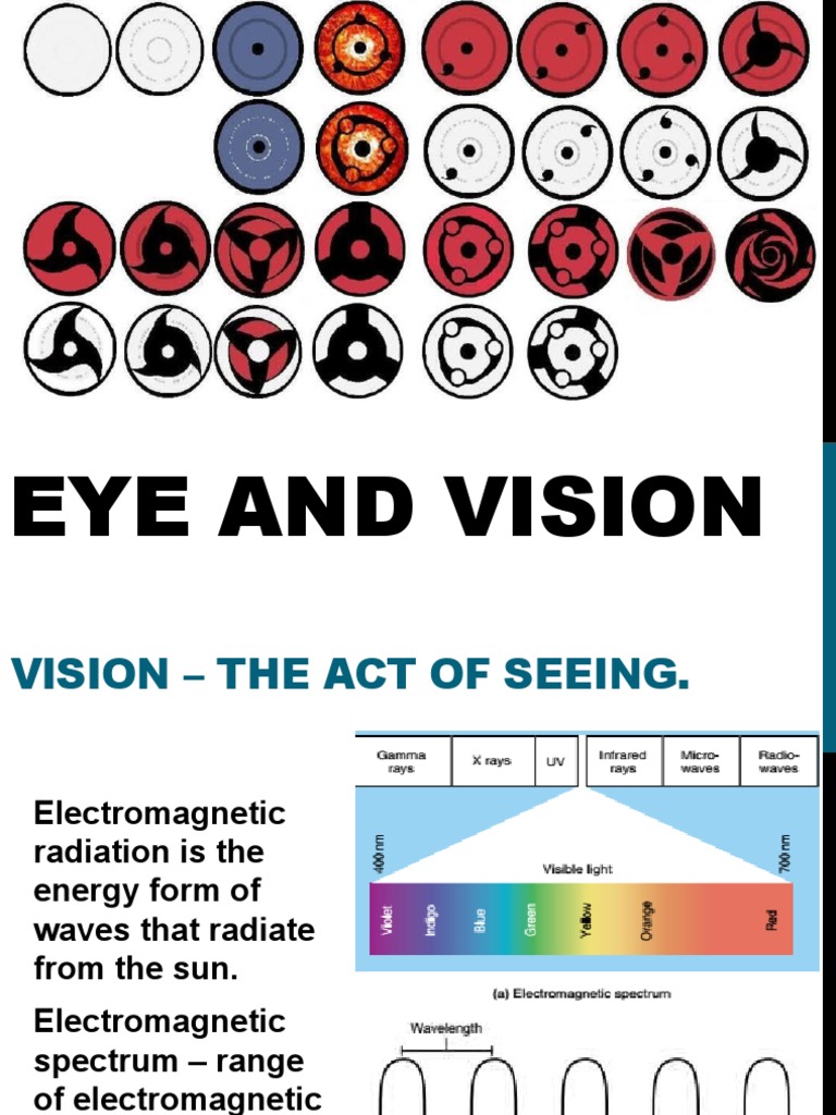Eye and Vision | PDF | Retina | Human Eye