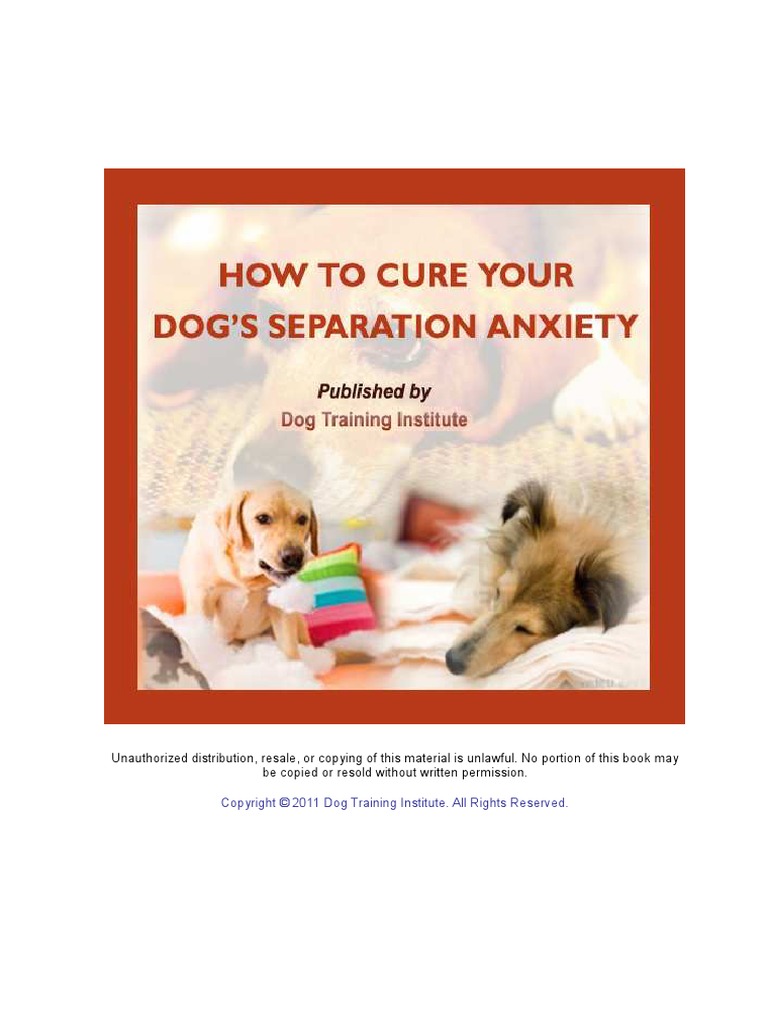 Howto Cure Separation Anxiety | PDF | Anxiety | Dogs
