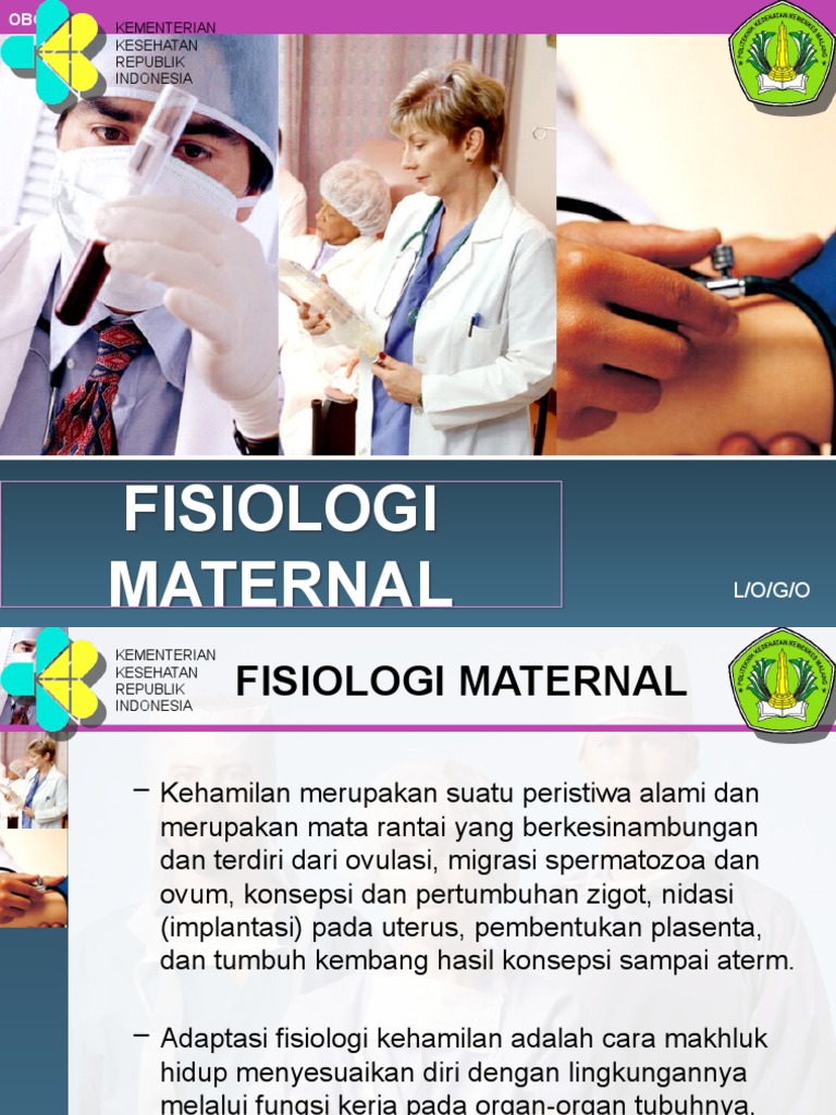 Fetomaternal | PDF