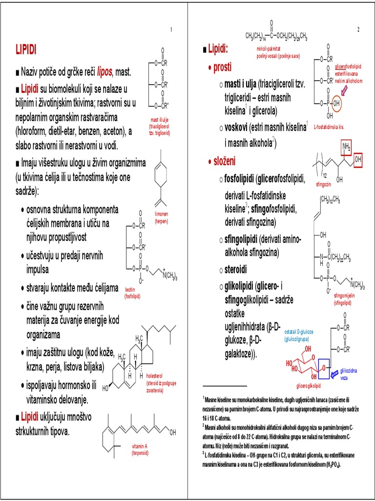 Lipidi-13 14 PDF | PDF