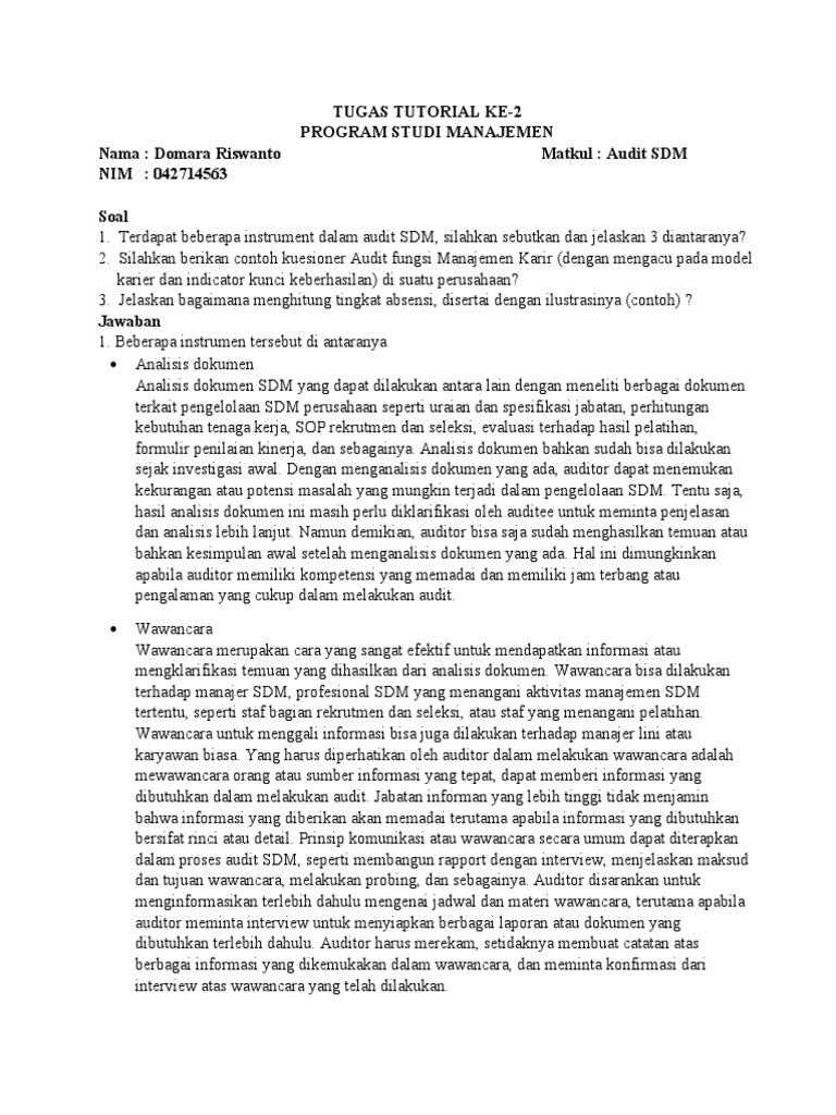 Jawaban TUGAS 2 Audit SDM | PDF