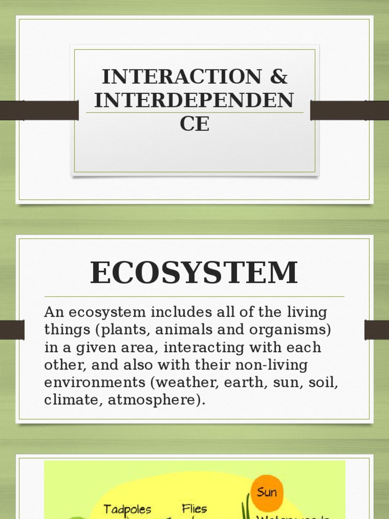 7-Interaction and Interdependence | PDF
