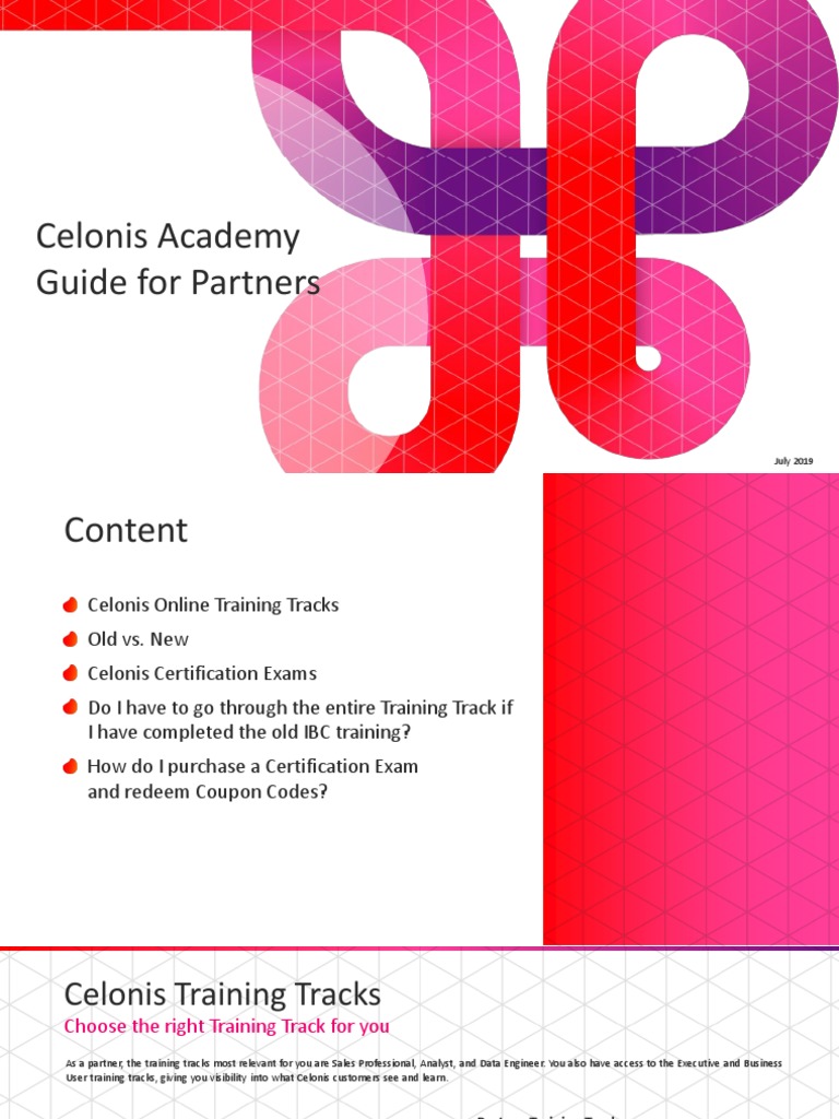 Celonis Academy_Training Tracks_Guide for Partners (3) | Professional ...