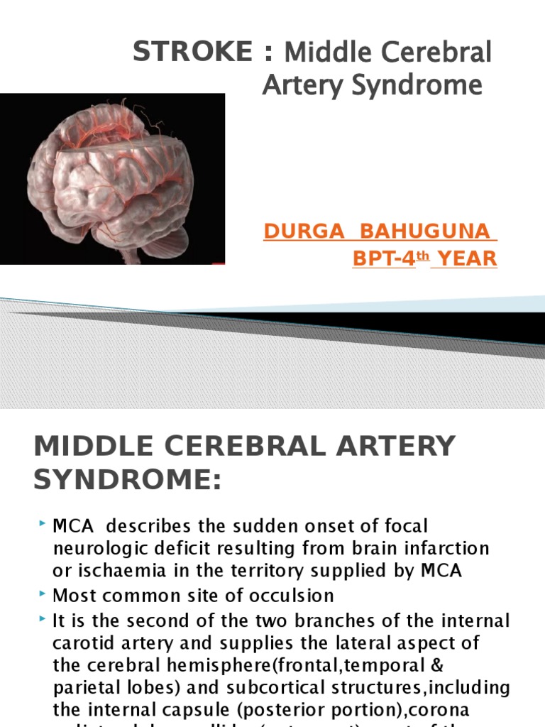 Understanding Middle Cerebral Artery Syndrome: Causes, Symptoms ...
