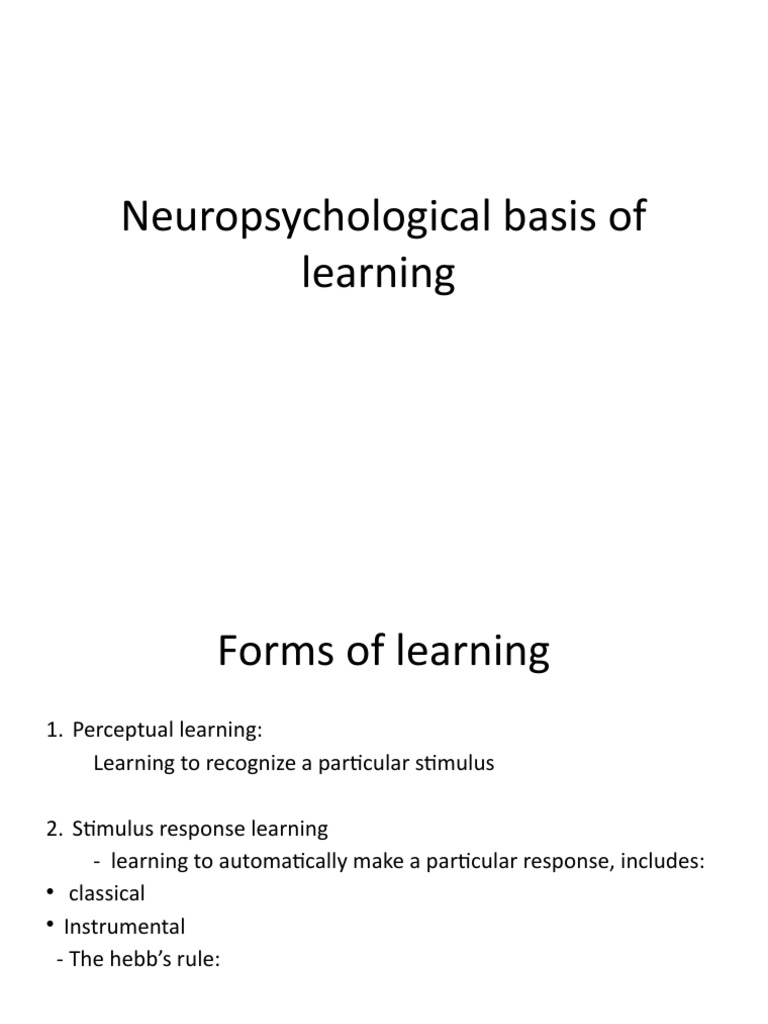 Neuropsychological Basis of Learning and Memory | PDF | Long Term Potentiation | Synapse