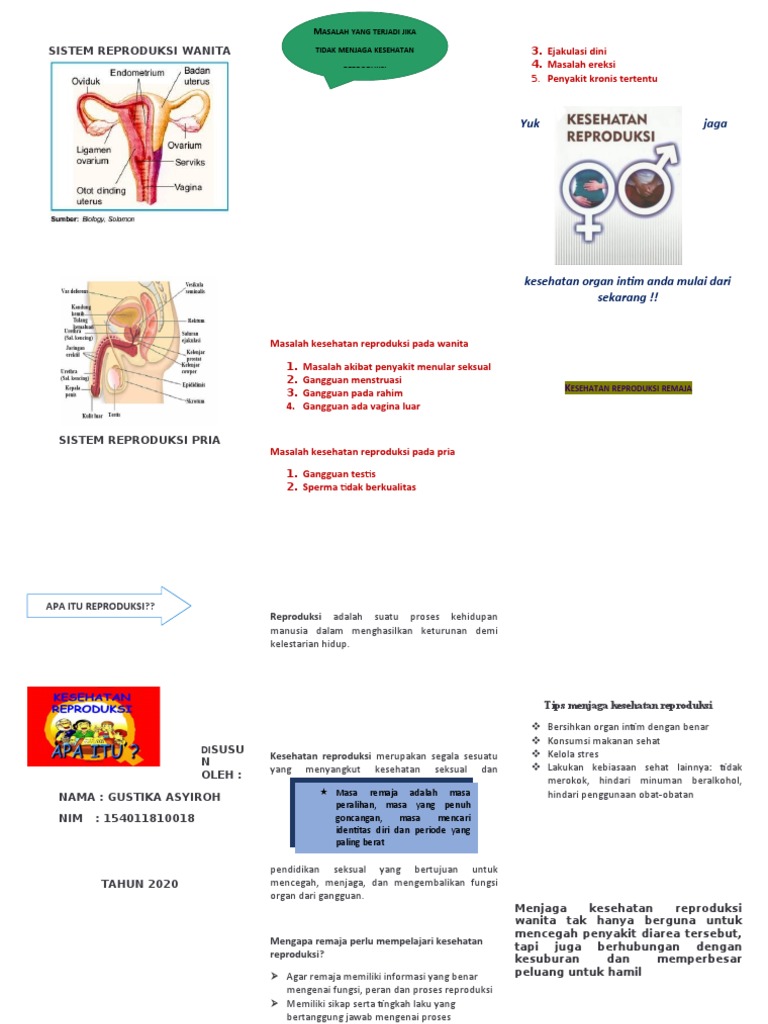 Leaflet Kesehatan Reproduksi | PDF | Kesehatan Holistik | Gaya Hidup