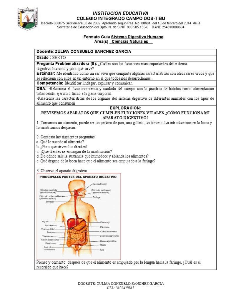Guia de Sistema Digestivo Humano | PDF | Sistema digestivo humano ...