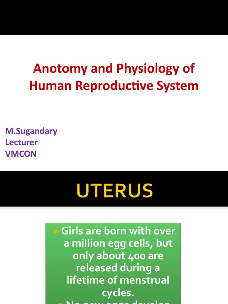 Second Part - Anatomy-And-Physiology-Of-Female-Reproductive-System | PDF