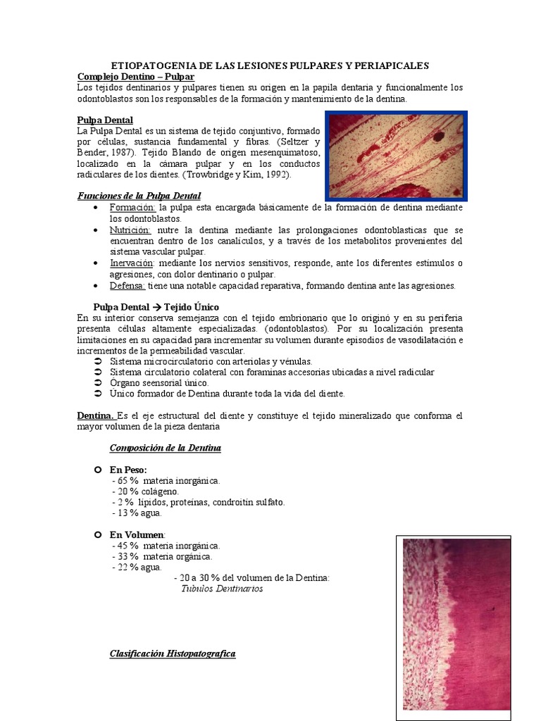 Etiopatogenia de Las Lesiones Pulpares y Periapicales | PDF | Dentina ...