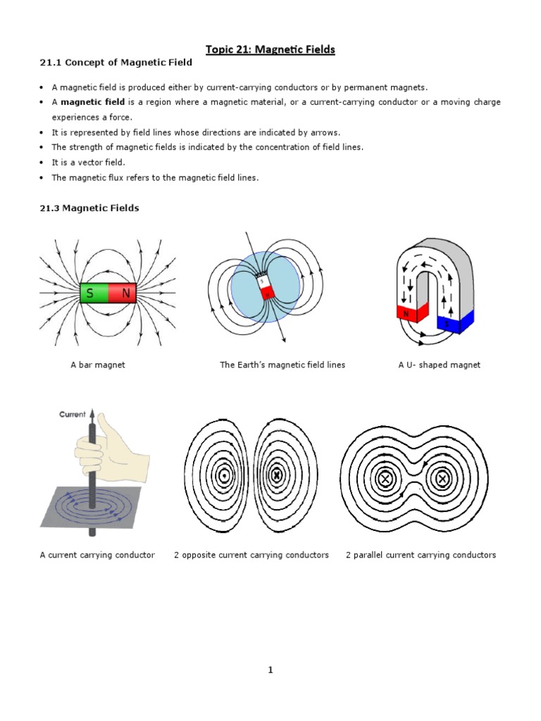 Understanding Magnetic Fields Basics | PDF | Science & Mathematics