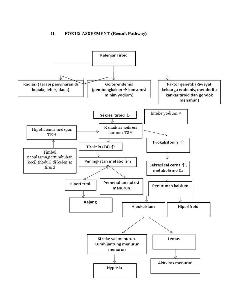Pathway CA Tyroid | PDF