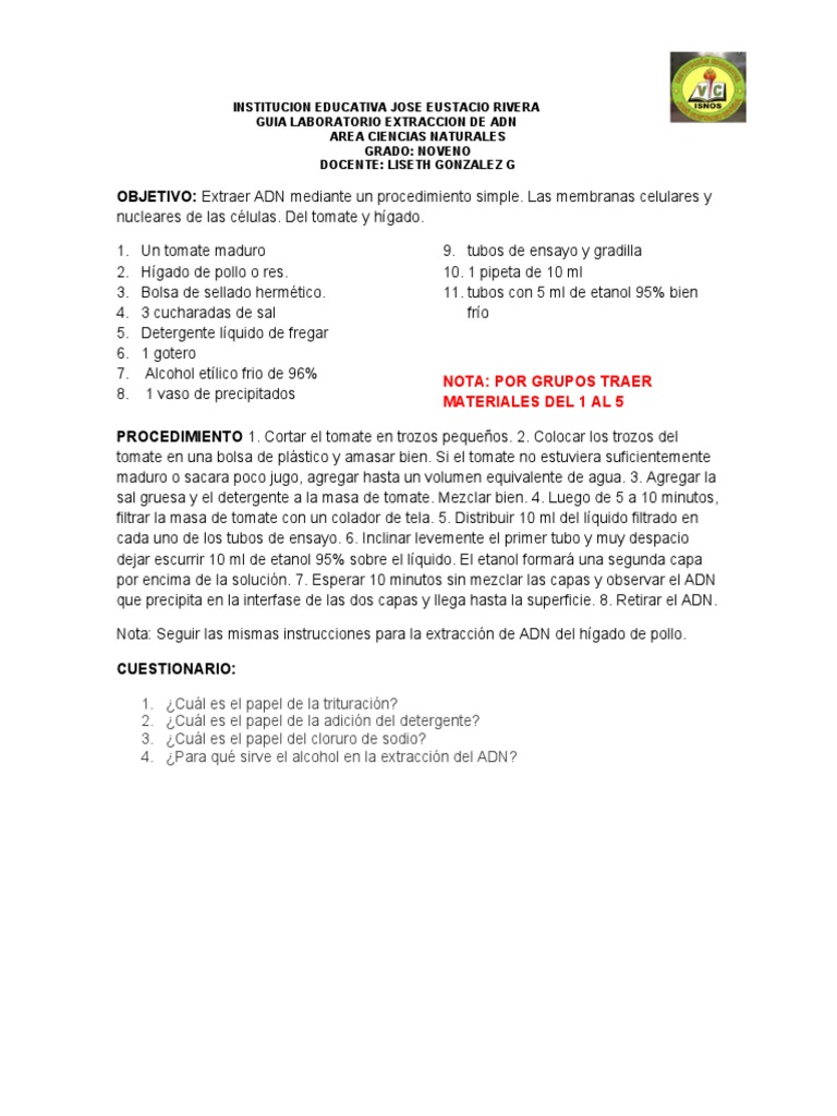 Actividad Práctica | PDF