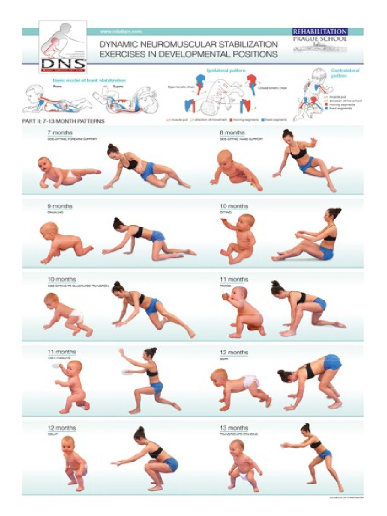 Dynamic Neuromuscular Stabilization | PDF