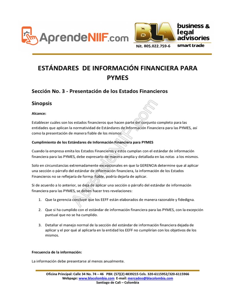 Seccion3 Presentacion de Los EEFF NIIF PYME | PDF | Estado financiero | Información
