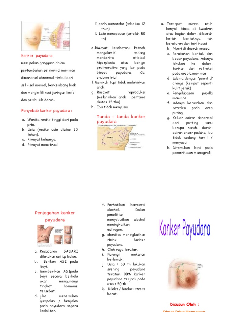 Leaflet CA MAMAE | PDF