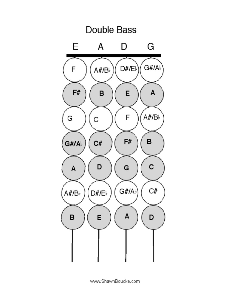 Fingering Chart Double Bass | PDF