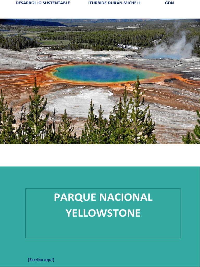 Guía de Yellowstone: Naturaleza y Sostenibilidad | PDF | Parque ...