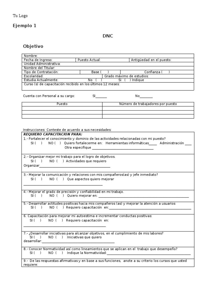 Ejemplos DNC | PDF | Calidad (comercial) | Evaluación de desempeño