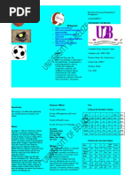 University of Belize Application Guide | PDF | Bachelor's Degree | University And College Admission